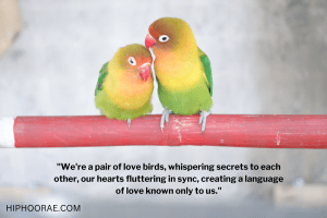 Quotes for Love Birds - Hip Hoo-Rae