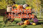Fall Party Names - Hip Hoo-Rae